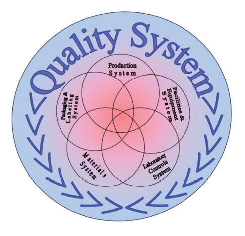 cGMP FDA Form 483 Trends | Pharma Consultants | RCA®